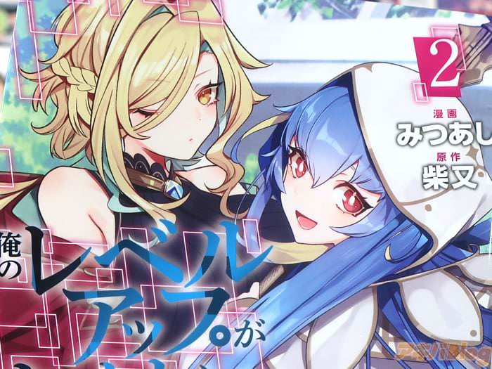 画像 コミカライズ 俺のレベルアップがおかしい！2巻 「着床を確認！レベルアップ！」 