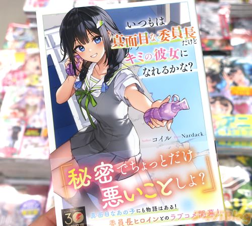 いつもは真面目な委員長だけどキミの彼女になれるかな?1 「俺の前だけワル可愛い」 アキバblog