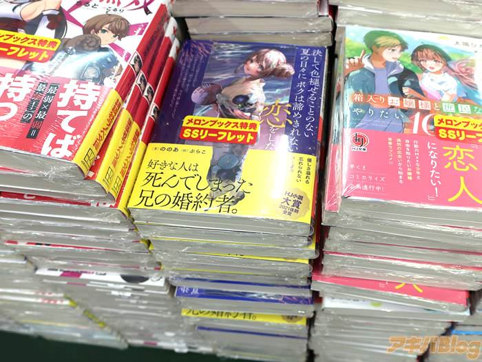 画像 メロンブックス秋葉原1号店の「決して色褪せることのない夏の日々にボクは諦めきれない恋をした」 